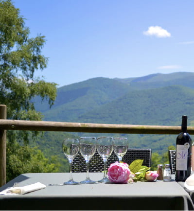Auberge Les Myrtilles - Col des Marrous, Le Bosc, Ariège | Site Officiel
