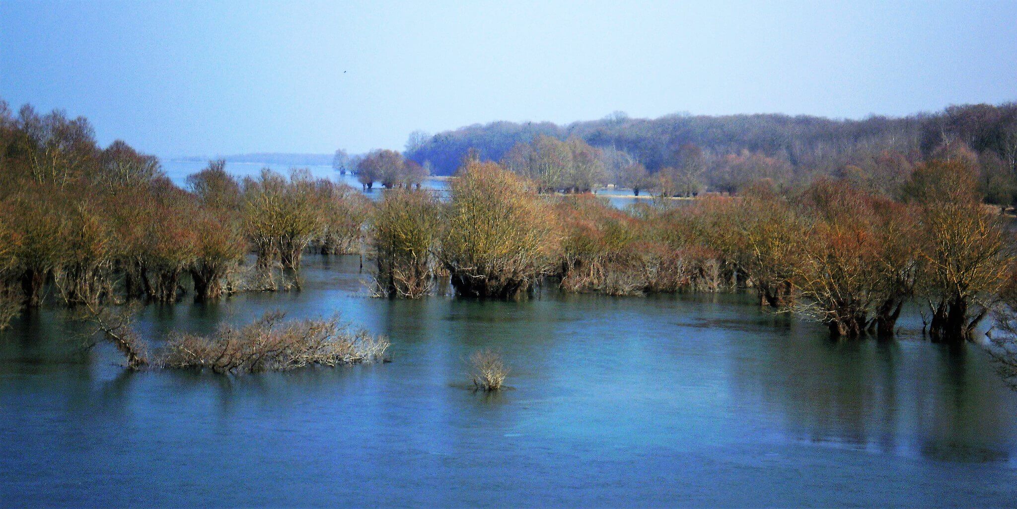 Lac de la forêt d'Orient