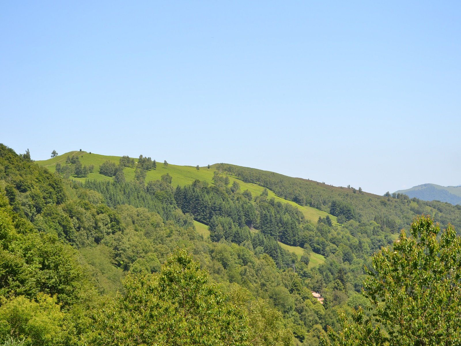 Auberge Les Myrtilles - Col des Marrous, Le Bosc, Ariège | Site Officiel