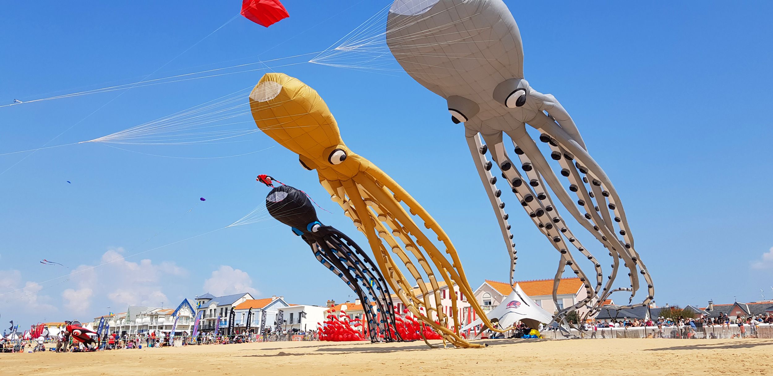 Festival du cerf-volant et du vent de Châtelaillon-Plage 2026
