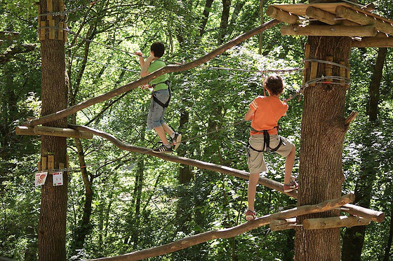 Happy Forest | Hôtel Restaurant Le Prince Noir